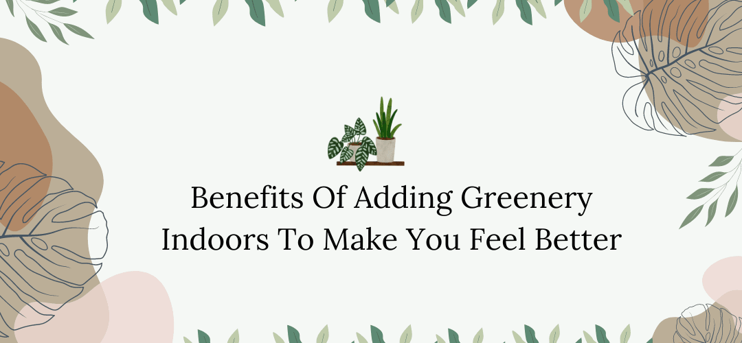Benefits Of Adding Greenery Indoors To Make You Feel Better – VarEesha