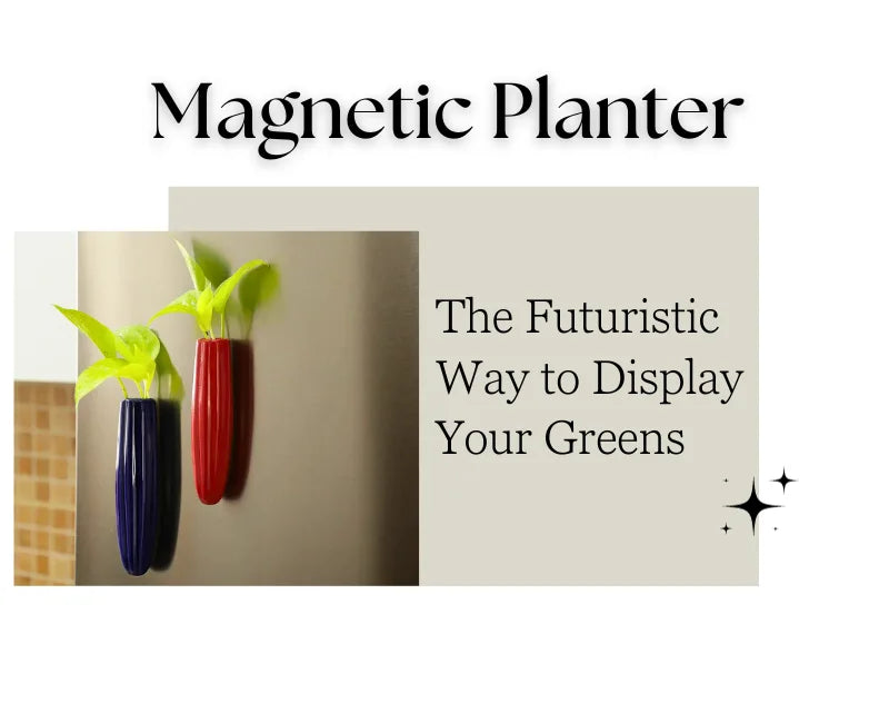 Magnetic Planters: The Futuristic Way to Display Your Greens – VarEesha