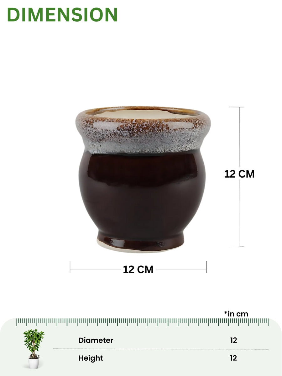 VarEesha Brown Ceramic 5 Inch Round Planter Pots Set of Two