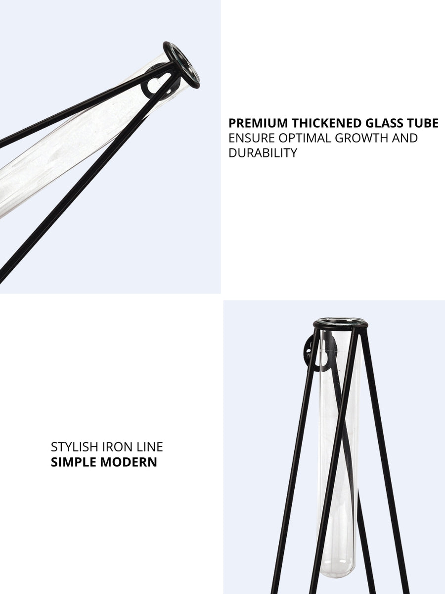 VarEesha Flora-Glass Triangle Test Tube Iron Planter